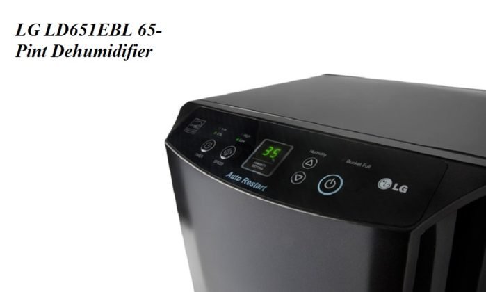 Cheap But Effective LG Dehumidifiers